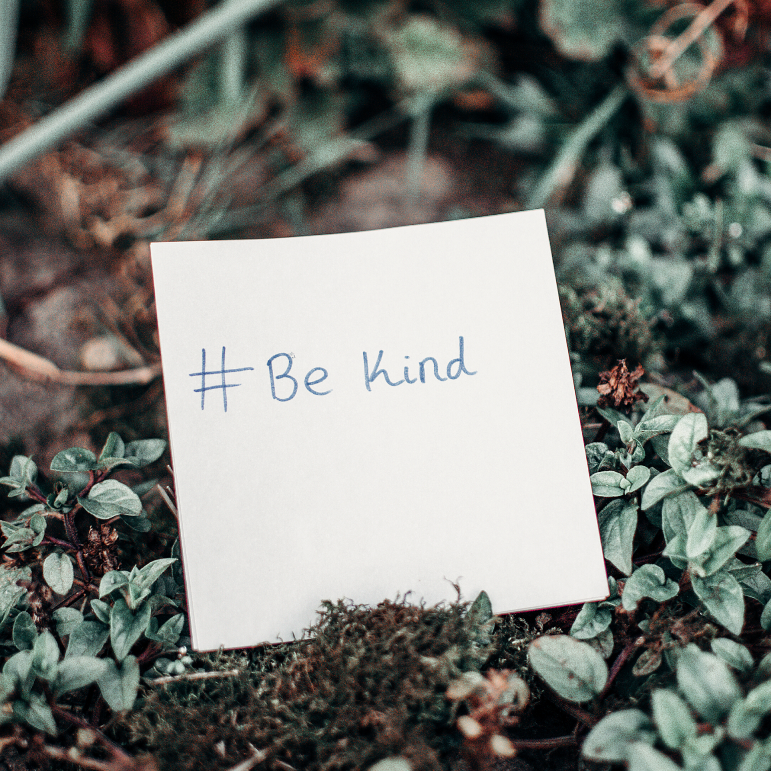 Inclusivity – Do You Truly Believe? – Maturing Mama